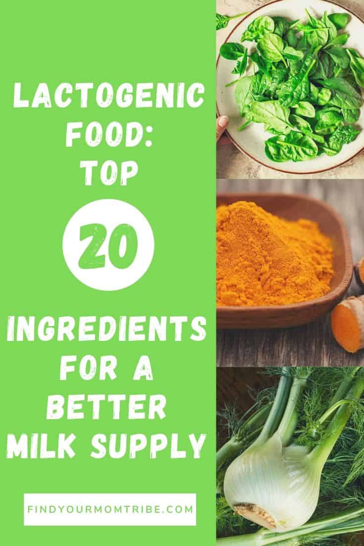 Lactogenic Food: Top 20 Ingredients For A Better Milk Supply