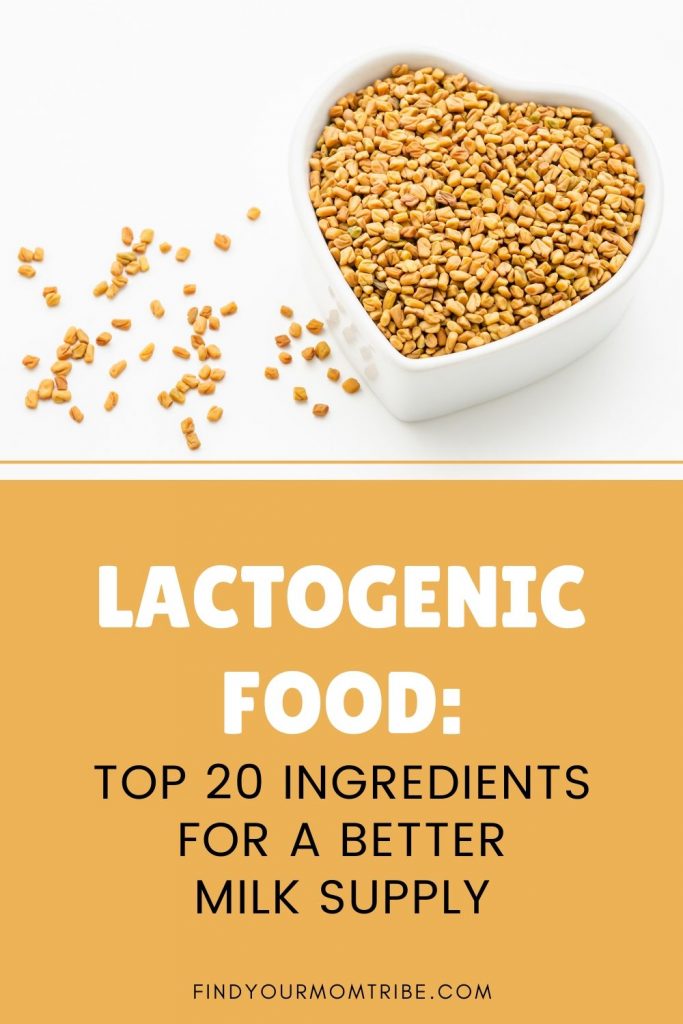 Lactogenic Food: Top 20 Ingredients For A Better Milk Supply