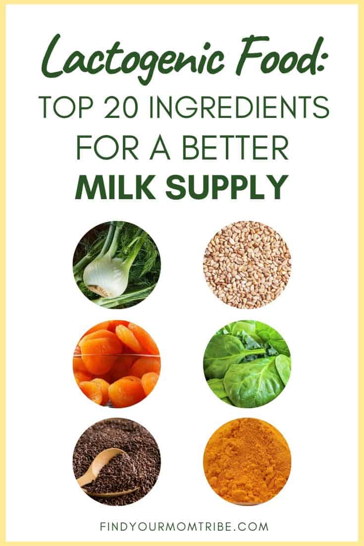 Lactogenic Food: Top 20 Ingredients For A Better Milk Supply