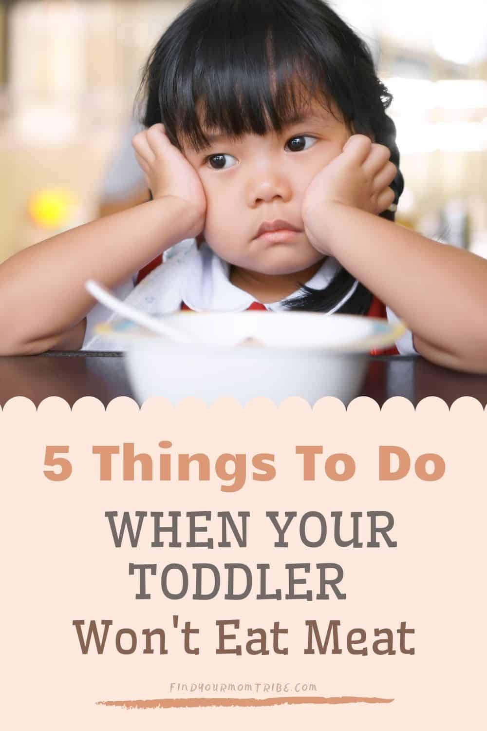 5 Things To Do When Your Toddler Won t Eat Meat 5-things-to-do-when-your-toddler-won-t-eat-meat