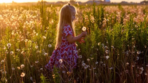 48 Unique Baby Names That Mean Wind And Air