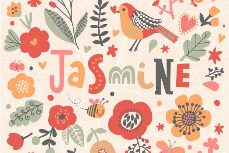 112 Best Nicknames For Jasmine – A Special Little Girl
