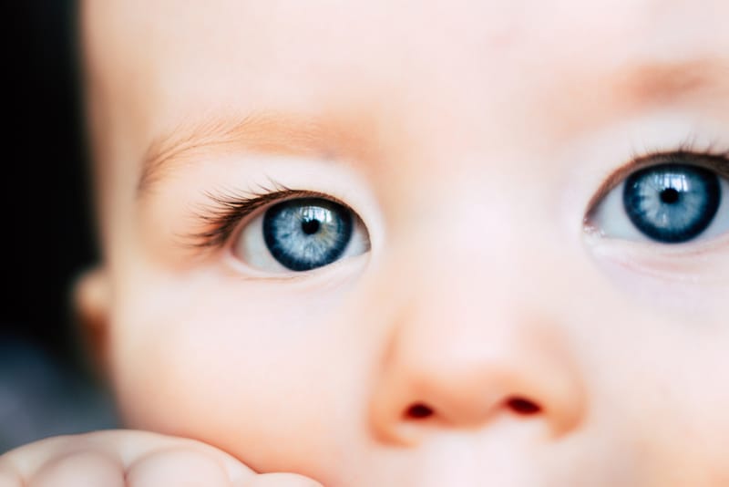 How To Deal With Hair In Baby Eye The Easy Way