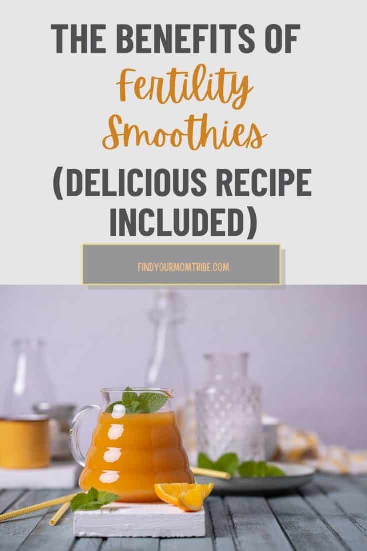 The Benefits Of Fertility Smoothies (Delicious Recipe Included)